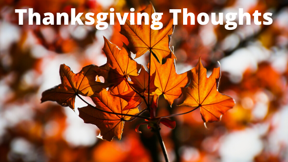 Thoughts Surrounding Thanksgiving and Native Americans - Library Lady